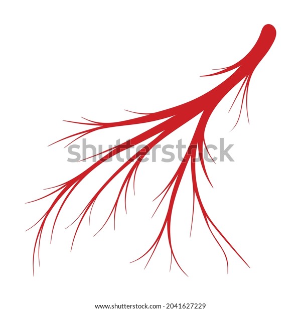 Vein Human Vector Cartoon Icon Vector Stock Vector (Royalty Free ...
