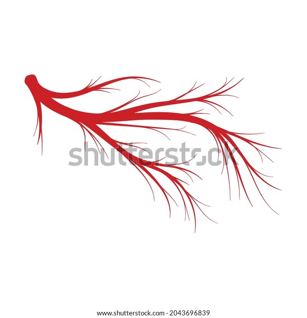 Vein Human Vector Cartoon Icon Vector Stock Vector (Royalty Free ...
