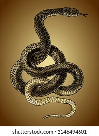 33 Cobra wrapped isolated Images, Stock Photos & Vectors | Shutterstock