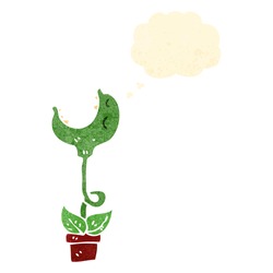 Venus Fly Trap Characters Art Free Stock Photo - Public Domain Pictures