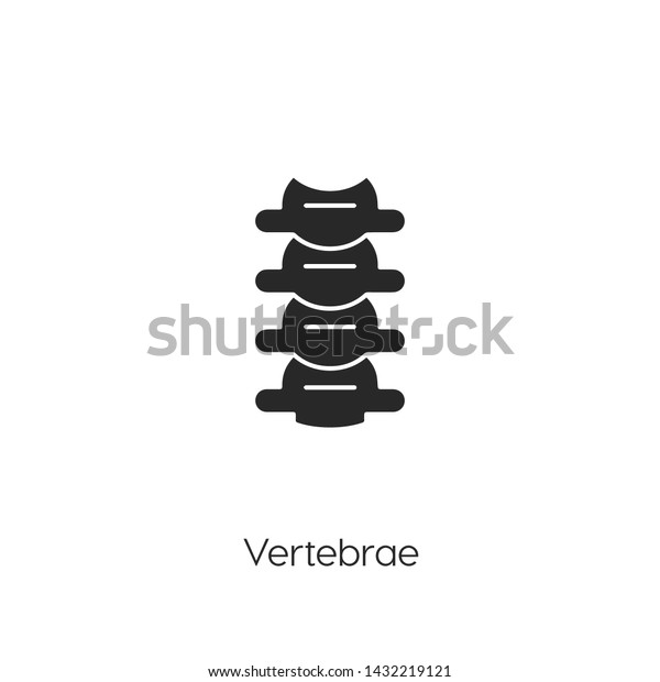 Vertebrae Icon Vector Symbol Sign Stock Vector (Royalty Free ...