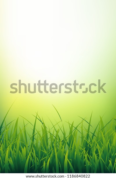 Vertical Natural Background Fresh Green Grass Stock Vector (Royalty ...