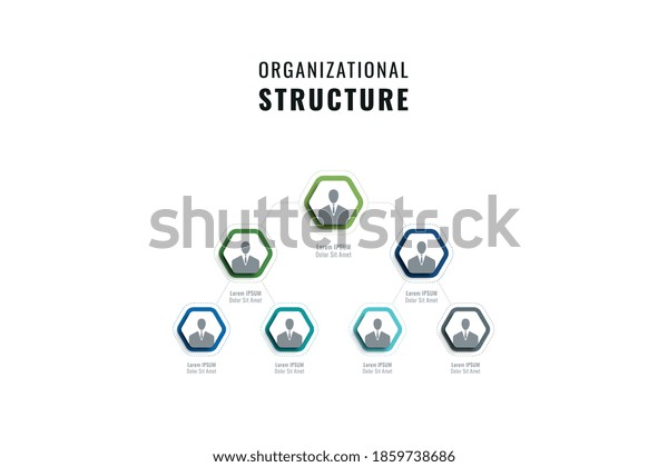 Vertical Organizational Structure Company Template Multicolor Stock ...