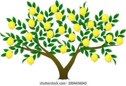 Very Pretty Lemon Tree Stock Vector (Royalty Free) 2004436043 ...