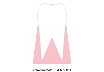 Very Simple Tooth Cross Section Stock Vector (Royalty Free) 1643735695 ...