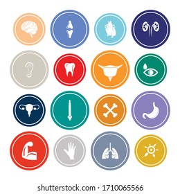 Body Parts Icon Set Vector Illustration Stock Vector (Royalty Free ...
