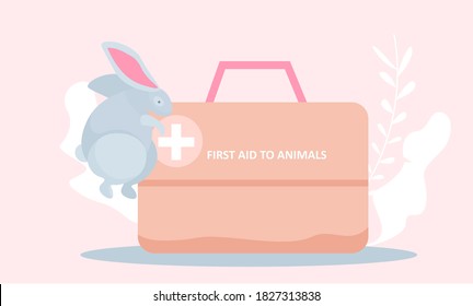 Veterinary Bag Emblem White Rabbit First Stock Vector (Royalty Free ...