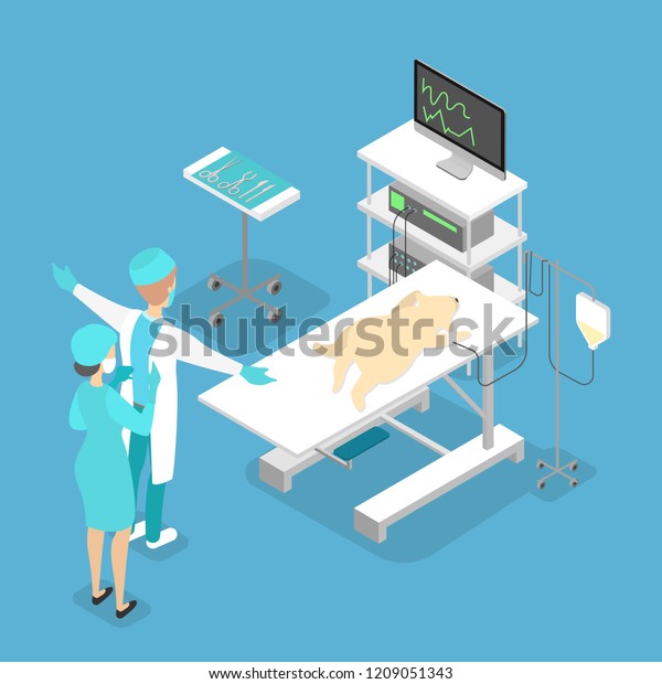 Veterinary Clinic Examination Room Interior Animal Stock Vector ...