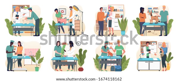Veterinary Flat Set Pet Carriage Vet Stock Vector (Royalty Free) 1674118162 | Shutterstock