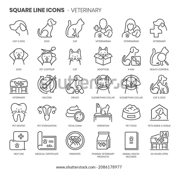 Veterinary Related Pixel Perfect Editable Stroke Stock Vector (Royalty ...
