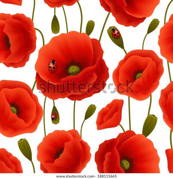 Vibrant Floral Seamless Pattern Poppy Flowers Stock Vector (Royalty ...