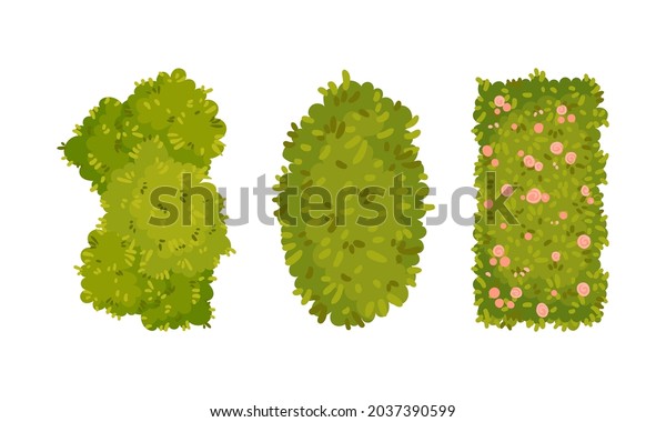 View Above Hedges Different Shapes Set Stock Vector (Royalty Free ...