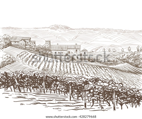 Vineyard Landscape Vector Sketch Design Hand Stock Vector (Royalty Free ...