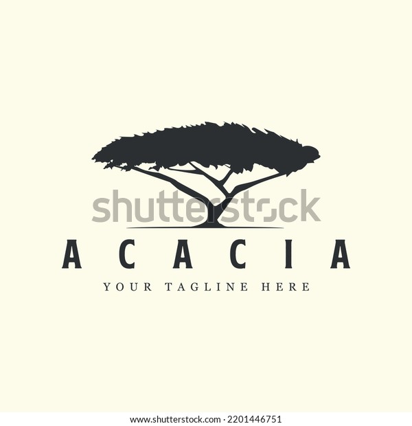 Vintage Acacia Tree Logo Vector Illustration Stock Vector (Royalty Free ...