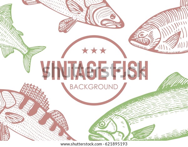 Vintage Background Fish Vector Stock Vector (Royalty Free) 621895193 ...