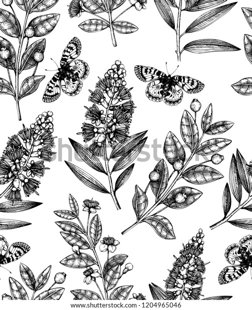 Vintage Background Hand Drawn Myrtle Tree Stock Vector (Royalty Free ...