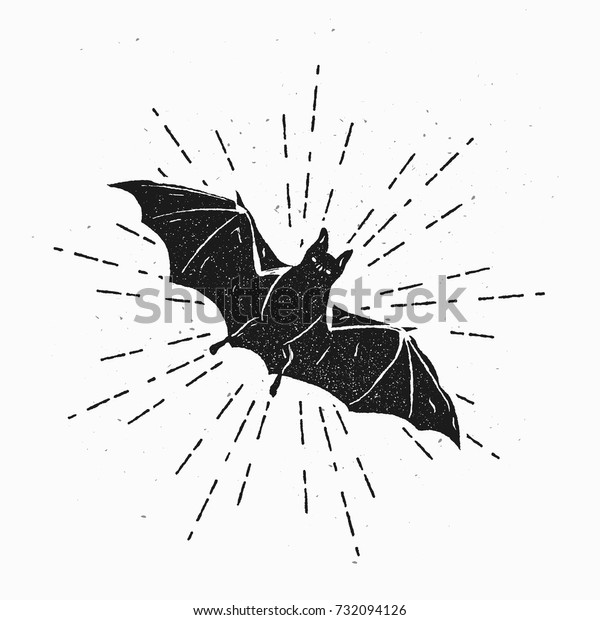 Vintage Bat Illustration Vector Illustration Retro: vetor stock (livre ...