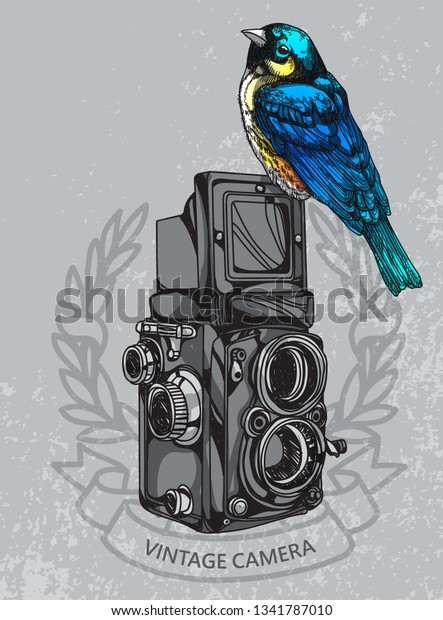 Vintage Camera Bird Hand Drawing Line Stock Vector (Royalty Free ...