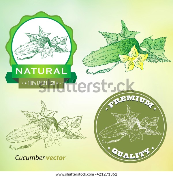 Vintage Cucumber Labels Stock Vector (Royalty Free) 421271362