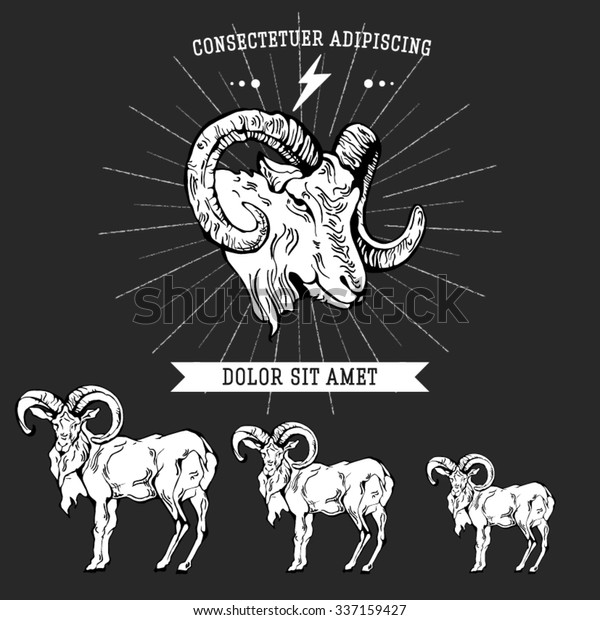 Vintage Hand Draw Ram Label Vector Stock Vector (Royalty Free ...