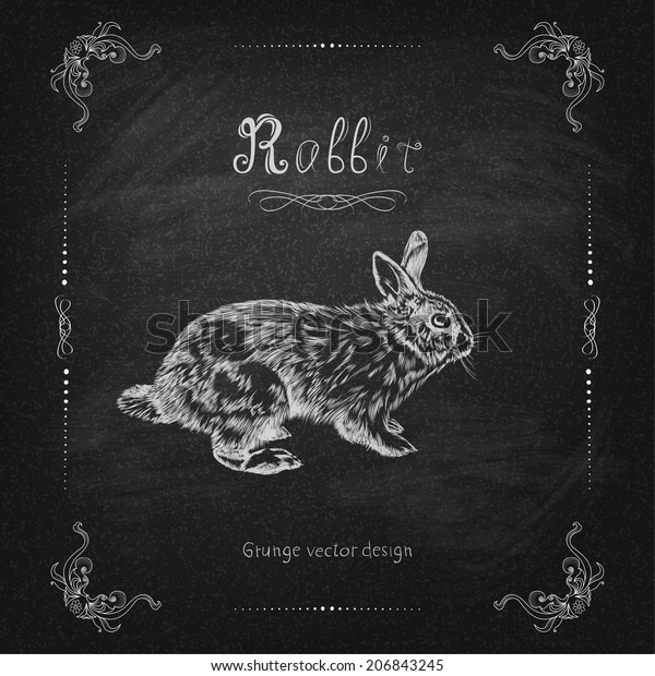 Vintage Hand Drawing Rabbit Vector Eps Stock Vector (Royalty Free ...