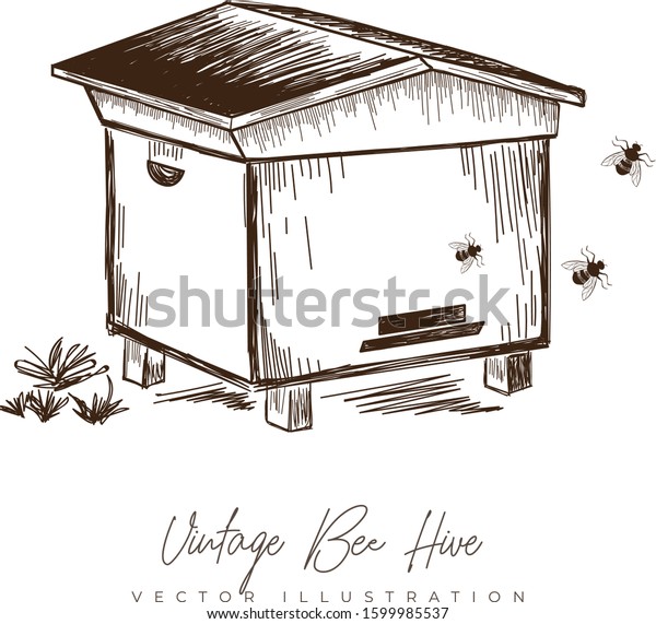 Vintage Hand Drawn Bee Hive Illustration Stock Vector Royalty Free 9171