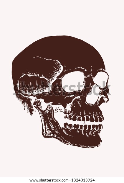 Vintage Human Skull Vector Illustrationretro Background Stock Vector ...