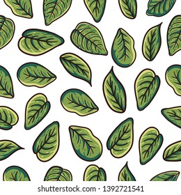 Classic Flower Leaf Pattern Designs Can Stock Vector (Royalty Free ...