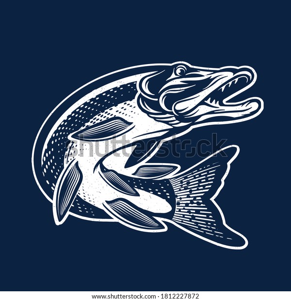 Logo de Pike Fish. Ilustración vectorial.: vector de stock (libre de ...
