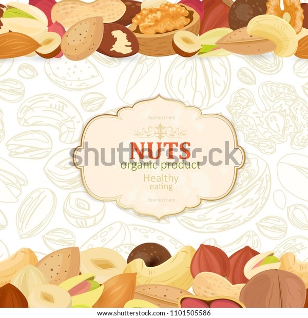 Vintage Poster Collection Different Nuts Your Stock Vector (Royalty ...