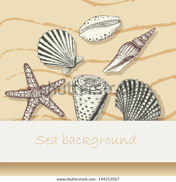 Vintage Sea Shell Background Beautiful Marine Stock Vector (Royalty ...