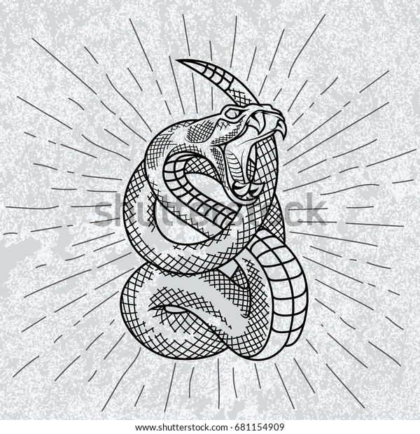 Viper Snake Hand Drawn Illustration Outline Stock Vector (Royalty Free ...