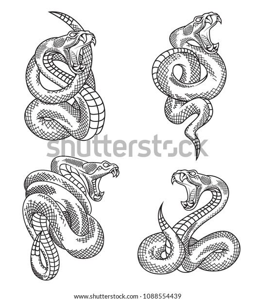 Viper Snake Set Hand Drawn Illustrations Stock Vector (Royalty Free ...