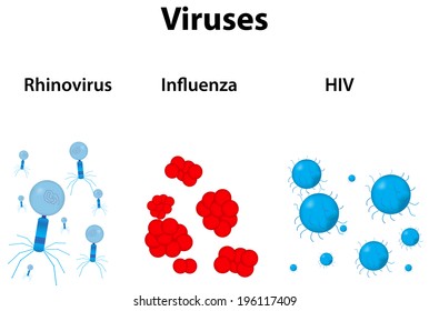 114 Rhinovirus Stock Vectors, Images & Vector Art | Shutterstock