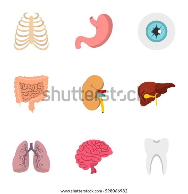 Viscera Icons Set Flat Illustration 9 Stock Vector (Royalty Free ...
