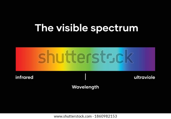 Visible Light Diagram Color Electromagnetic Spectrum: เวกเตอร์สต็อก ...