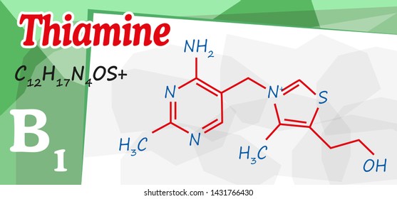 Vitamin B1 Thiamine Structure Formula Stock Vector (Royalty Free ...
