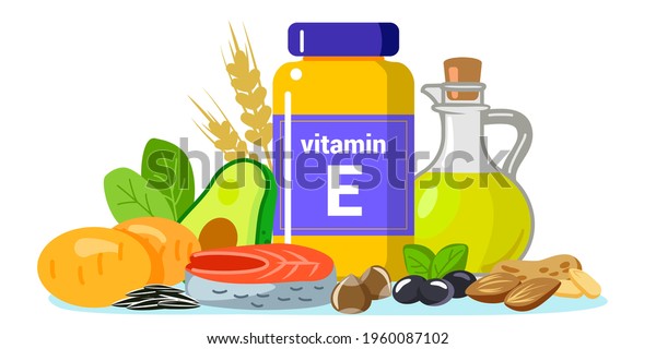 Vitamin E Vector Illustration Foods Containing Stock Vector (Royalty ...