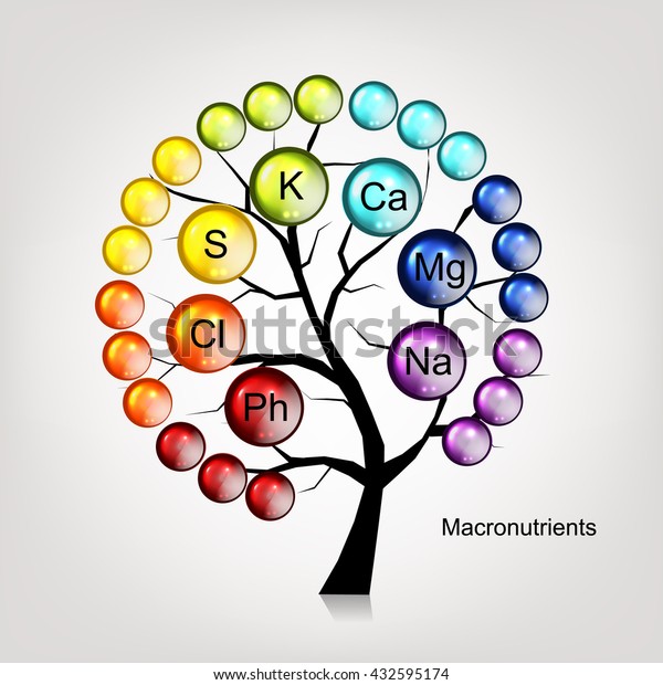 Vitamins Tree Concept Your Design Vector Stock Vector (Royalty Free ...