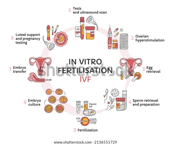 581 Ivf Process Images, Stock Photos & Vectors | Shutterstock