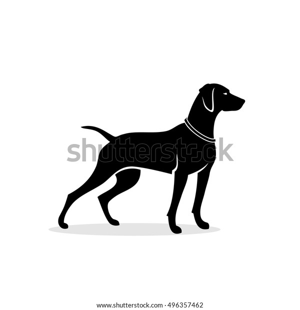 Vizsla Dog Vector Illustration Stock Vector (Royalty Free) 496357462