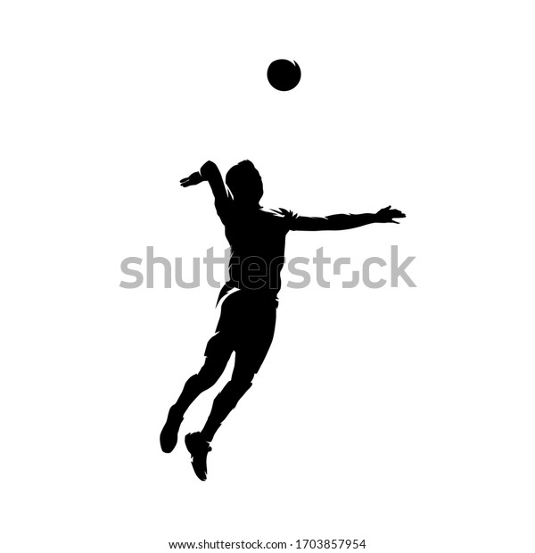 Volleyball Player Serving Ball Isolated Vector Stock Vector (Royalty ...