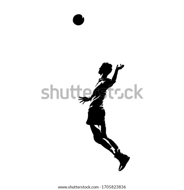 Volleyball Player Serving Ball Isolated Vector Stock Vector (Royalty ...