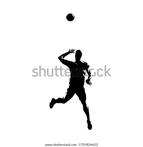 Volleyball Player Serving Ball Isolated Vector Stock Vector (Royalty ...