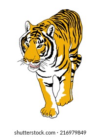 25,118 Tiger walk Images, Stock Photos & Vectors | Shutterstock