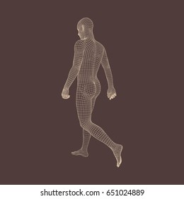 Wire Frame Human Full Body Virtual Stock Illustration 1019277649