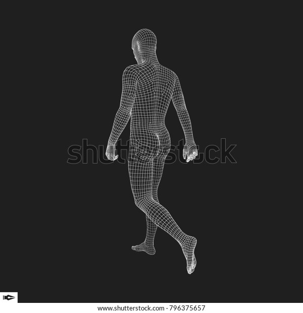 Walking Man 3d Human Body Model Stock Vector (Royalty Free) 796375657 ...
