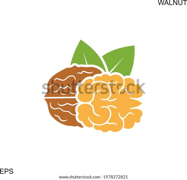 Walnut Logo Isolated Walnut On White Stock Vector (Royalty Free ...