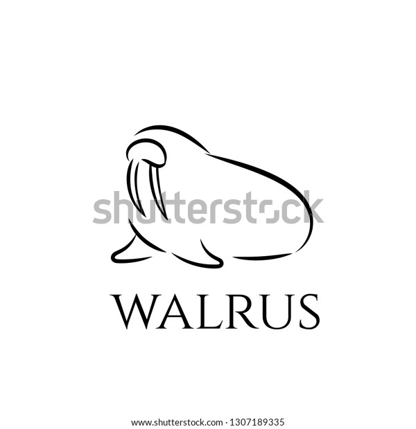Walrus Outline Icon Vector Animal Linear Stock Vector (Royalty Free ...