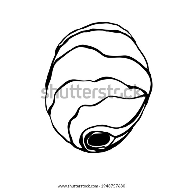 Wasp Nest Illustration Black Isolated On Stock Vector (Royalty Free ...